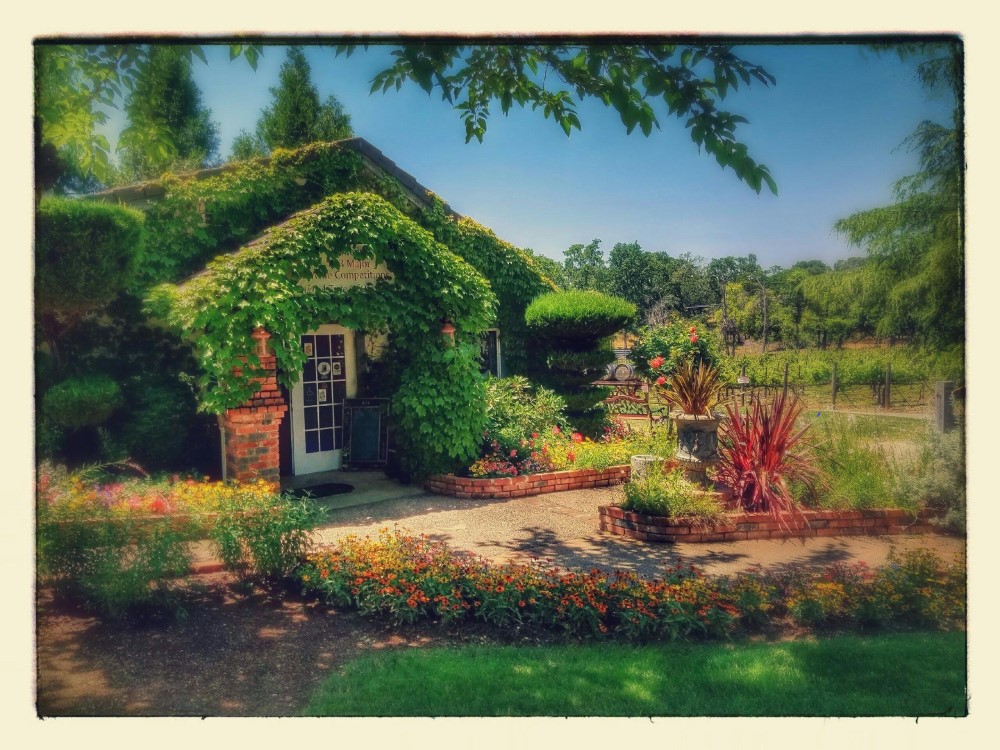 Tasting Room A Family Owned Winery In Auburn California